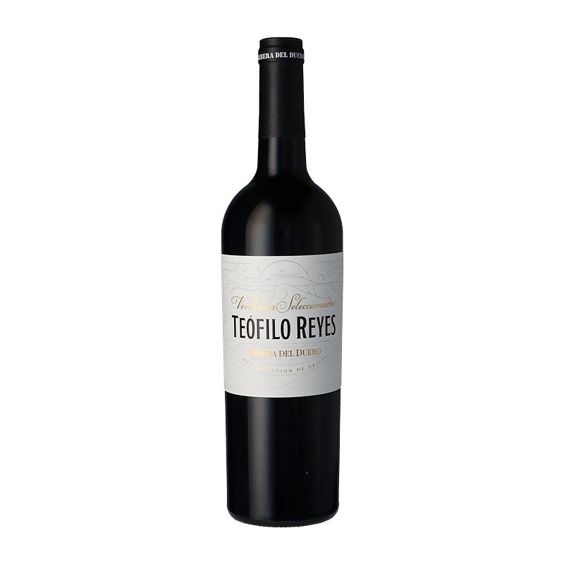 Teófilo Reyes Ribera del Duero Roble 2021 | Vinoteket