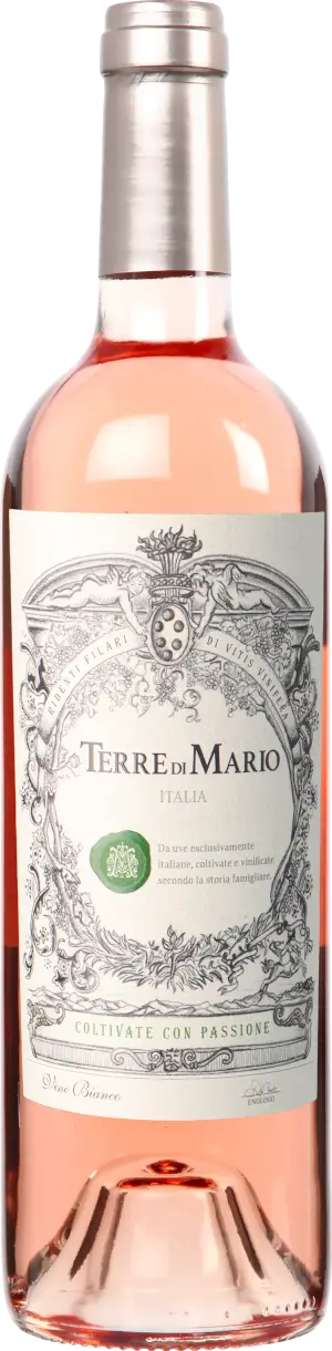 Sida 2, Rosévin – Köp rosé online | Vinoteket